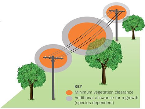 Vegetation Management