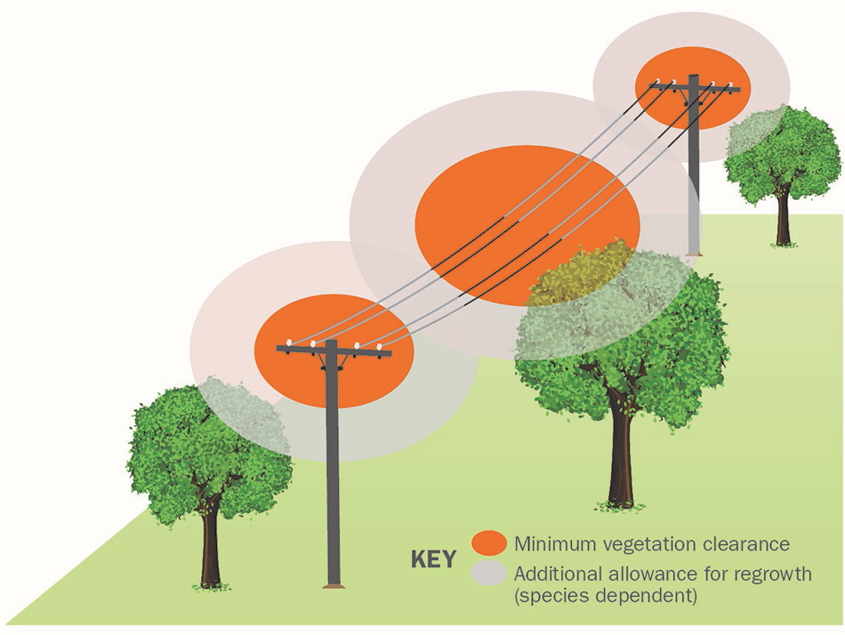 Vegetation Management