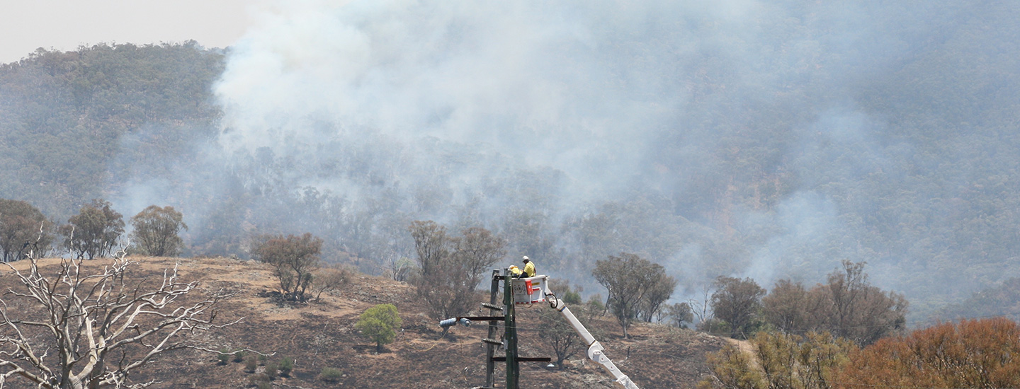 Bushfire Safety